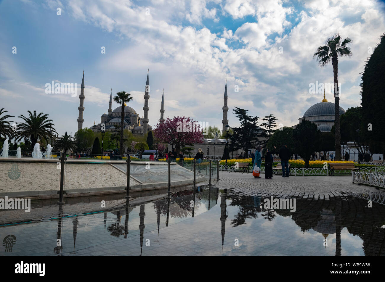 Blue Mosque in Istanbul at morning with its rain water reflection Stock ...