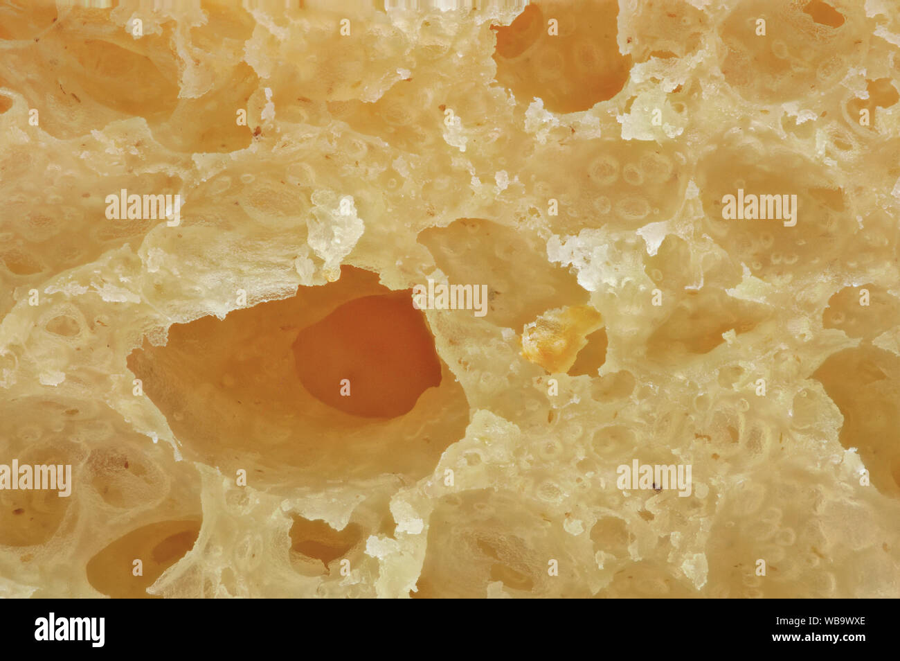 Macro detail bread crumb Stock Photo - Alamy