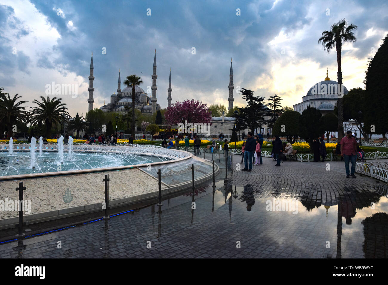 Blue Mosque in Istanbul at morning with its rain water reflection Stock ...