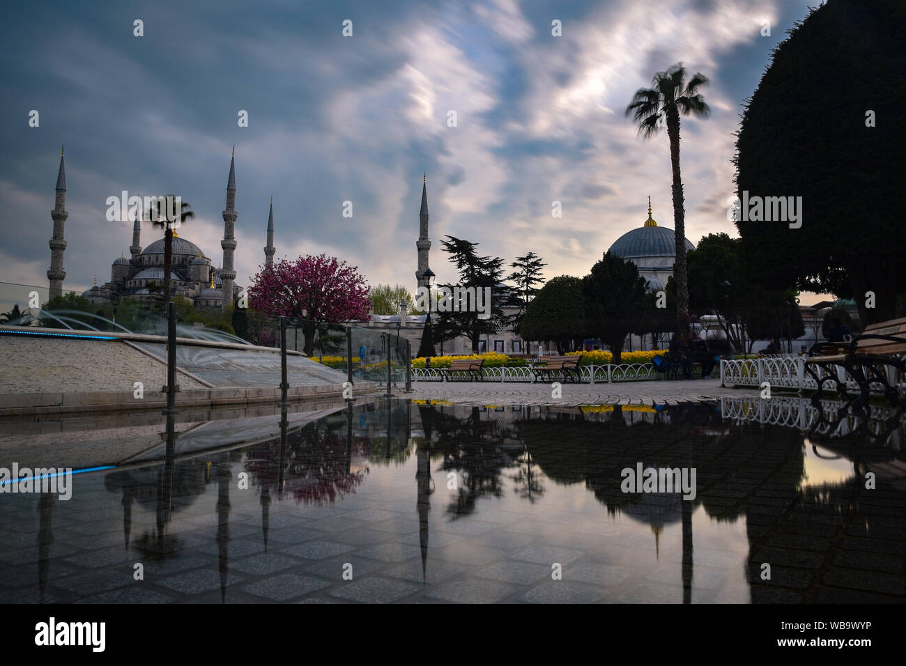 Blue Mosque in Istanbul at morning with its rain water reflection Stock ...