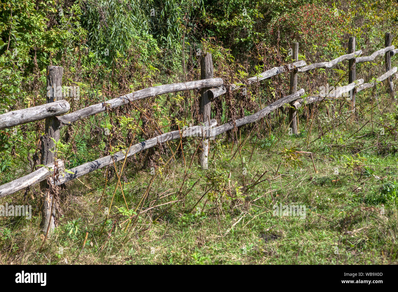 Ranch mountain pasture gate fence hi-res stock photography and images ...