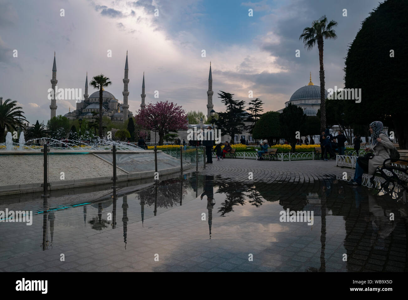 Blue Mosque in Istanbul at morning with its rain water reflection Stock ...
