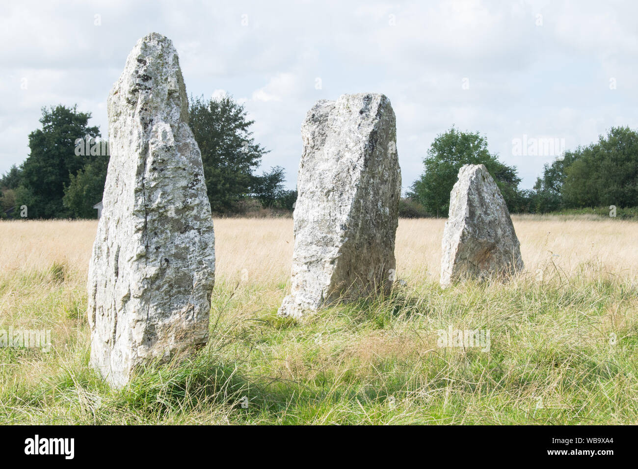 Duloe stone circle hi-res stock photography and images - Alamy