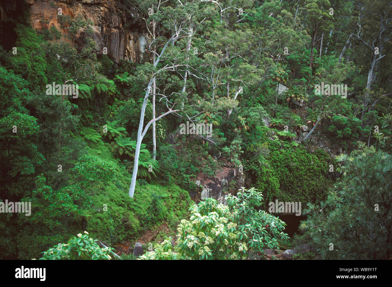 Bushwalker, Isla Gorge National Park, Central Queensland, Australia ...