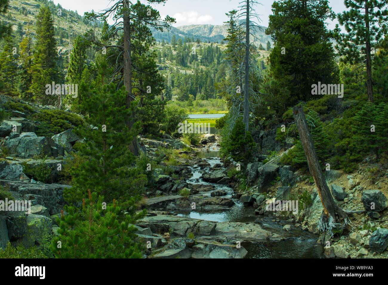 Wide shot ocean surrounded hi-res stock photography and images - Alamy