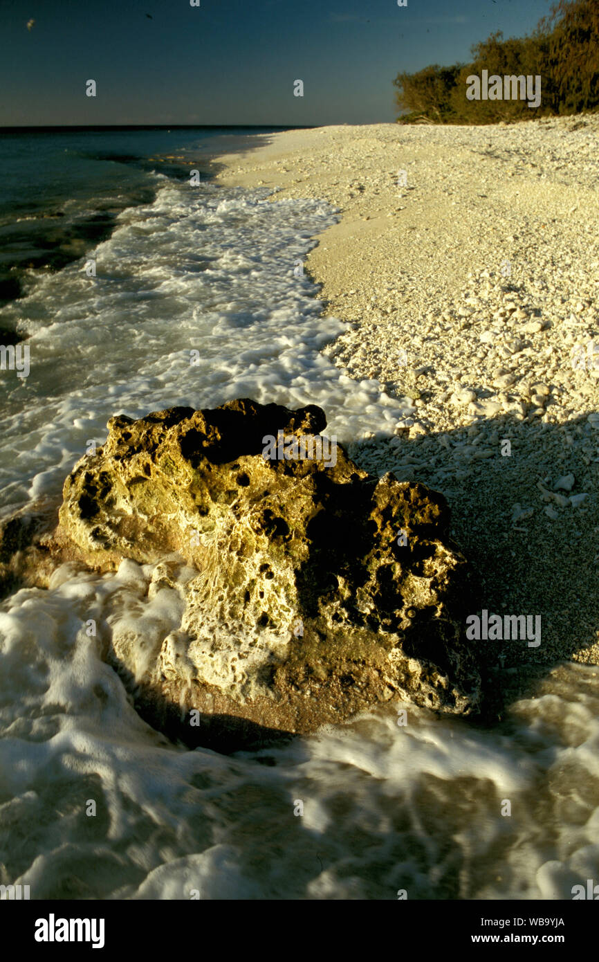 Lady eliott island hi-res stock photography and images - Alamy