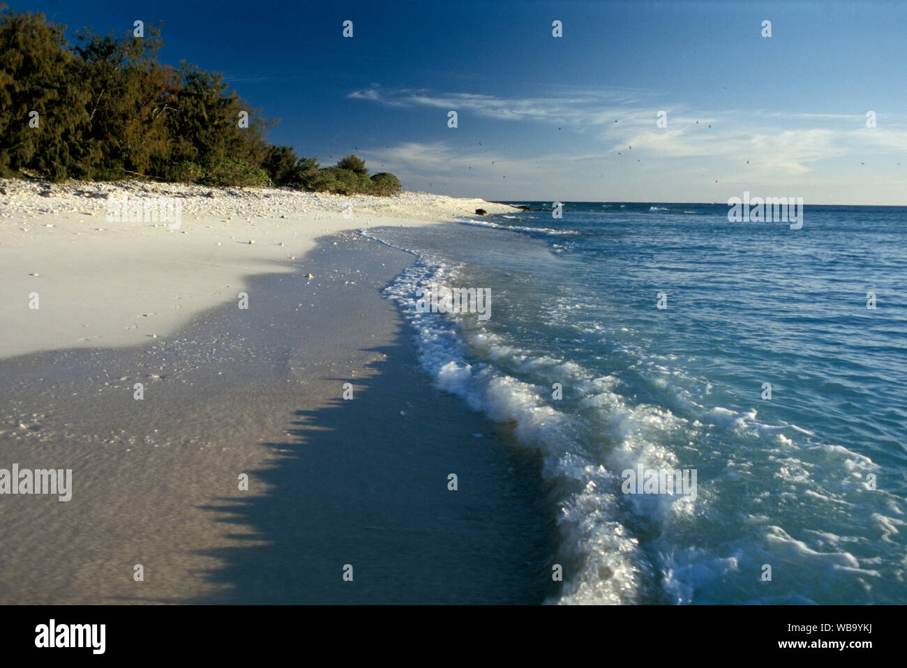 Vegetated shingle hi-res stock photography and images - Alamy
