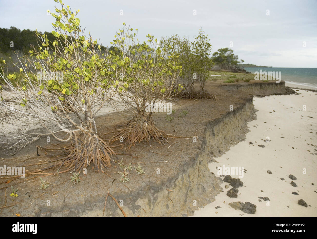 Burrum coast national park hi-res stock photography and images - Alamy