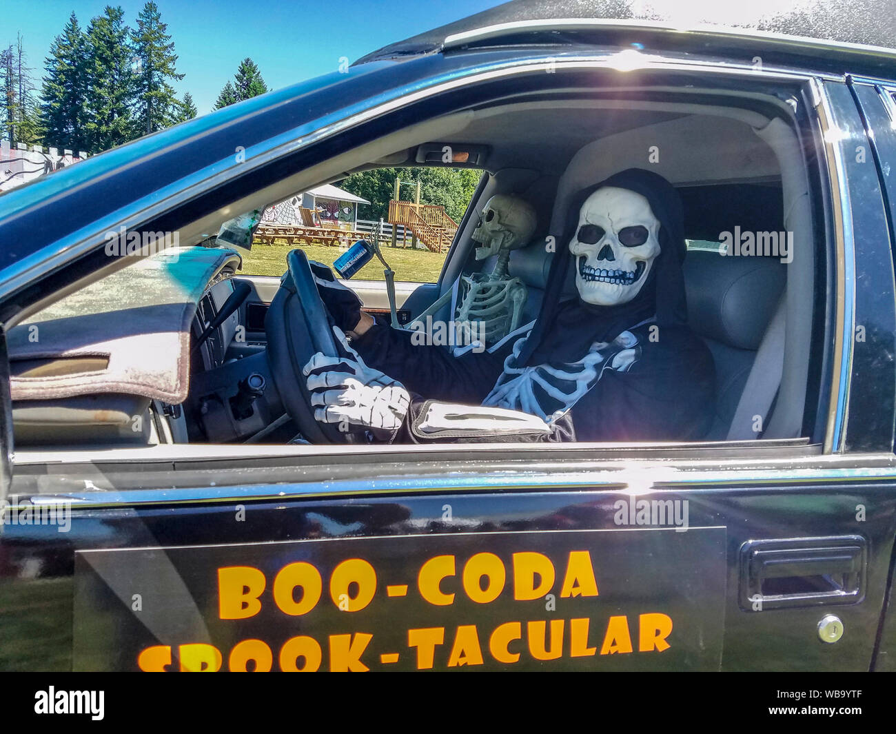 Skeleton in car hi-res stock photography and images - Alamy