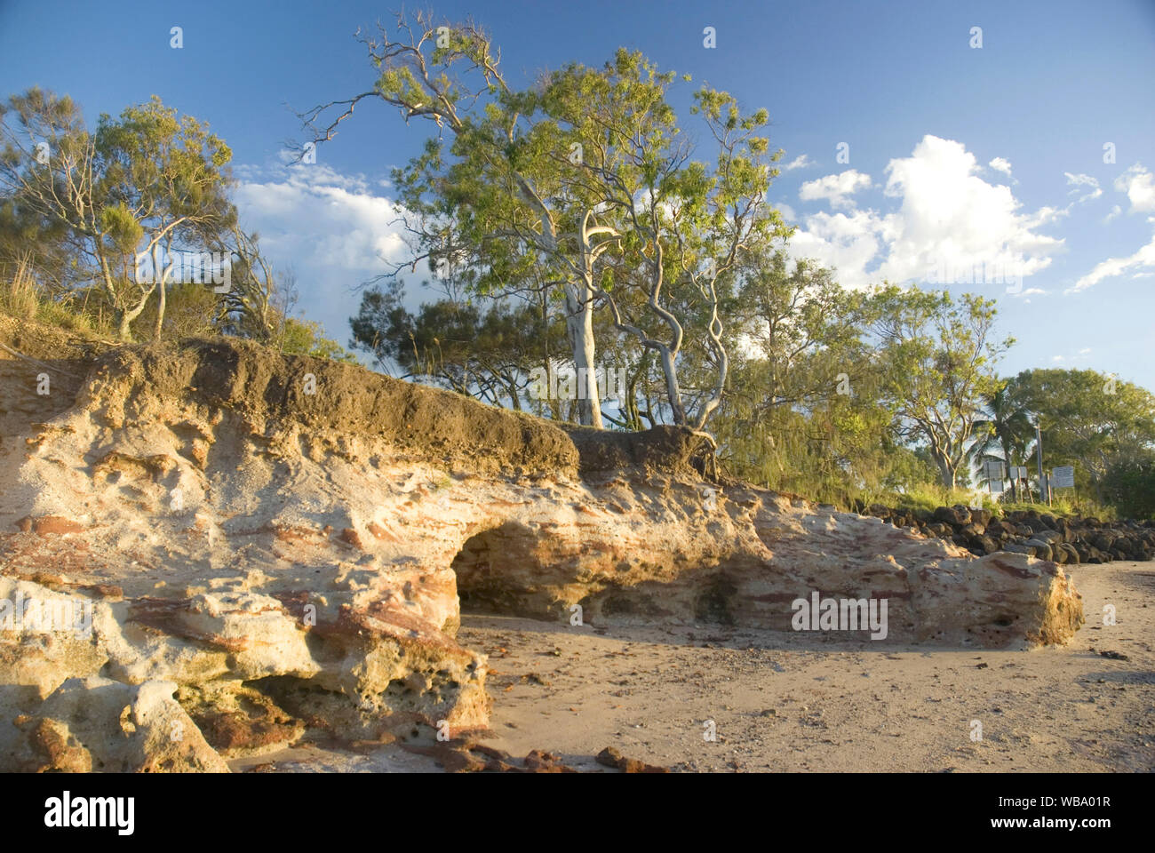 River bank erosion on the Elliot River, somewhat stabilised by ...