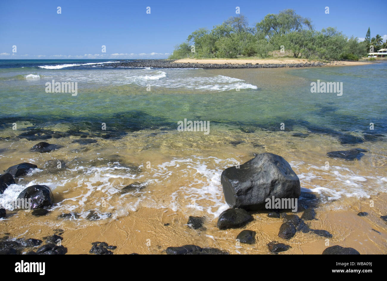 Ecosystems australia hi-res stock photography and images - Alamy