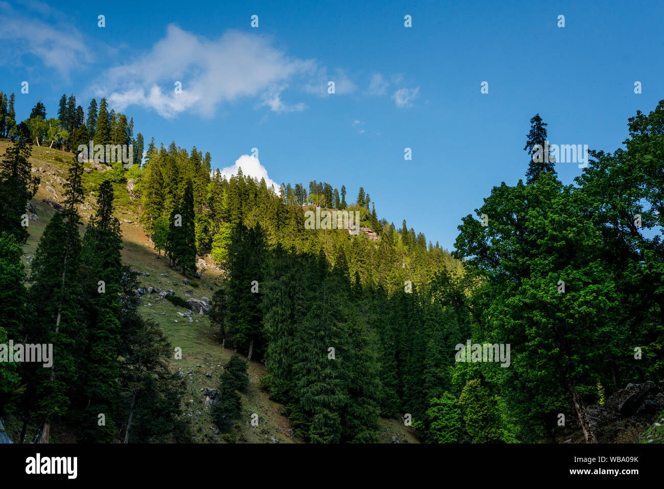 Beautiful Scenes experienced during the trek to the Hamta Pass Trek in ...