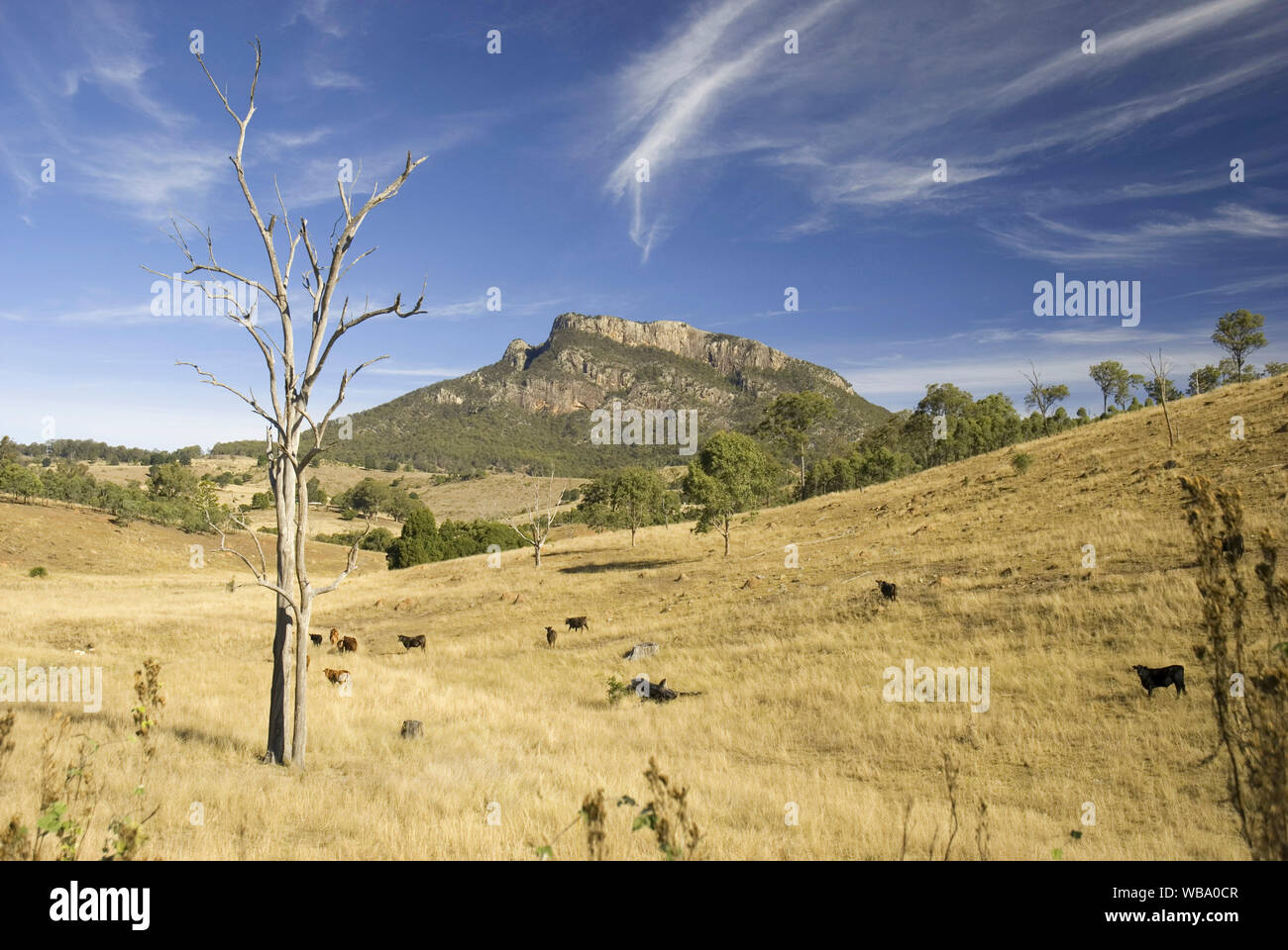 Mount barney national park australia hi-res stock photography and ...