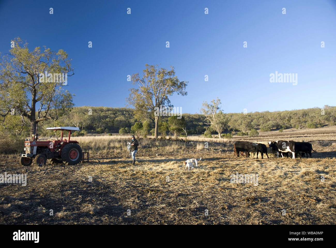 Poor farming practices hi-res stock photography and images - Alamy