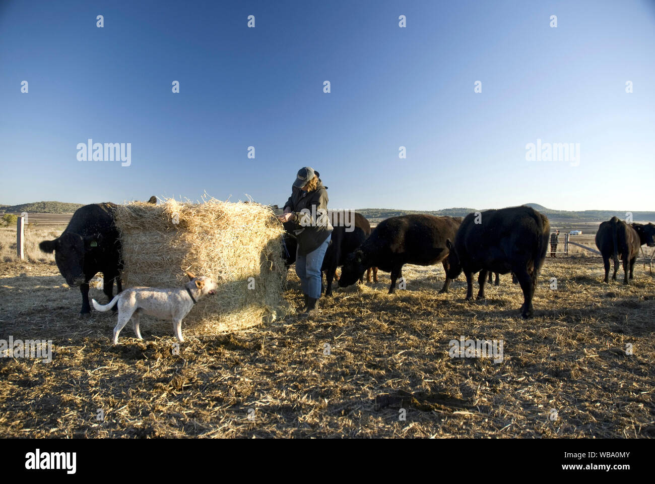 Poor farming practices hi-res stock photography and images - Alamy