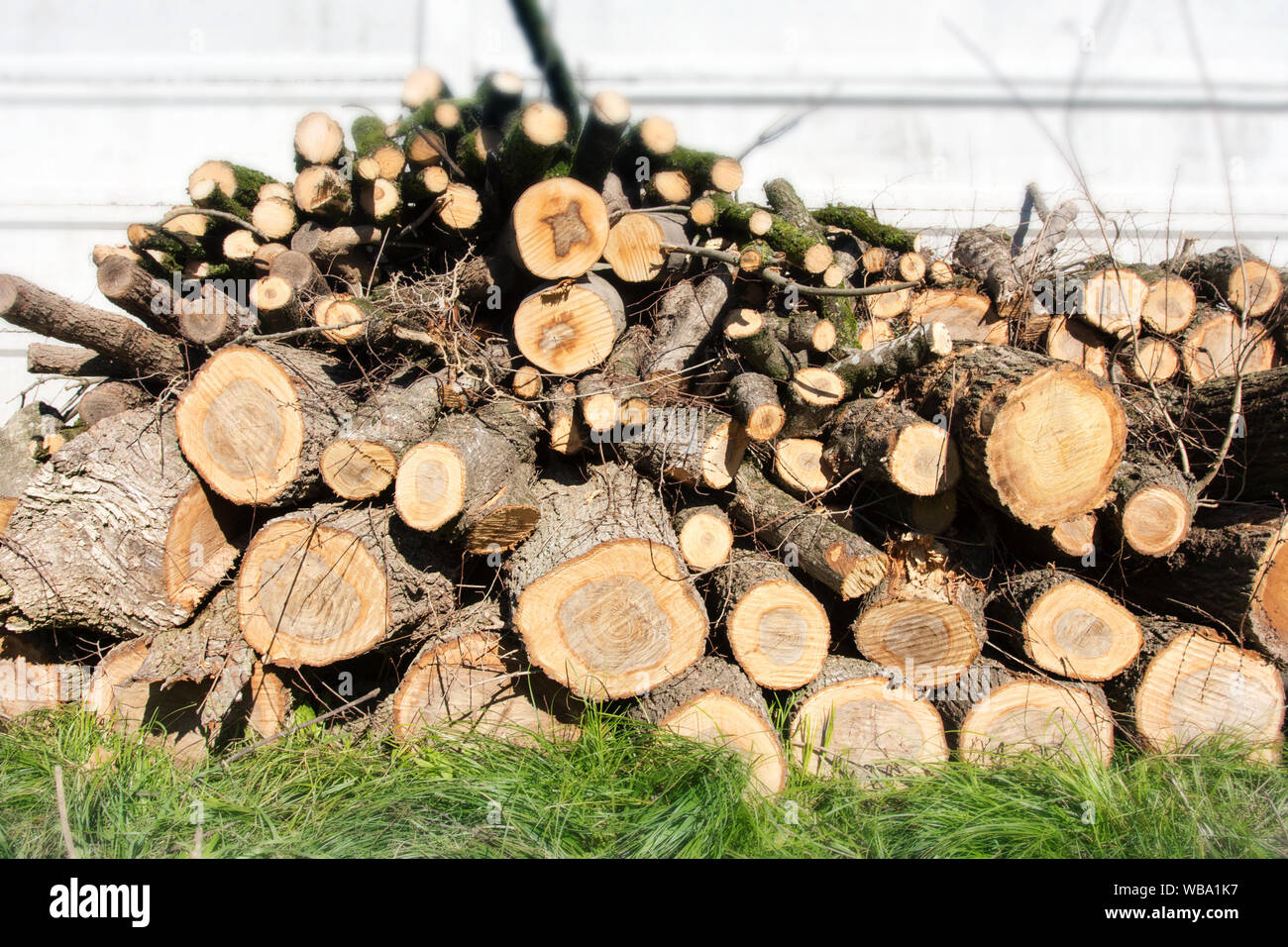 Wooden logs stacked Stock Photo - Alamy