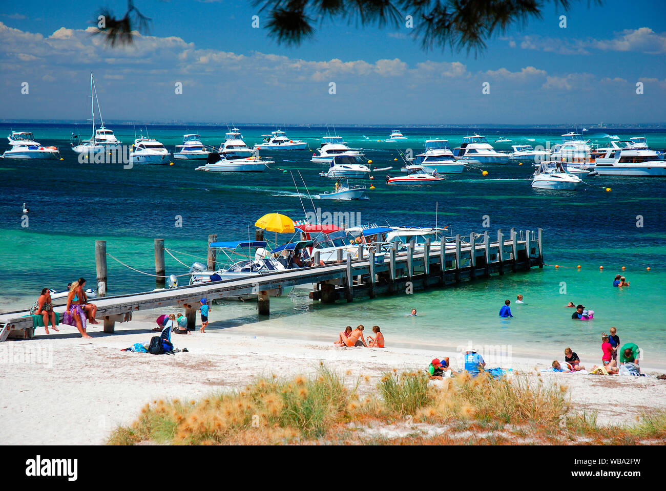 Rottnest island western australia hi-res stock photography and images ...