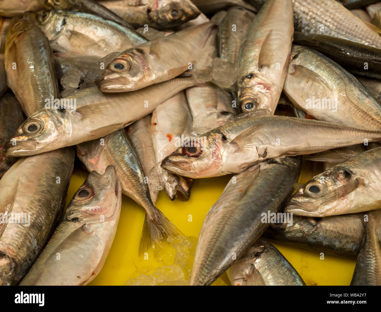 Cheff kitchen hi-res stock photography and images - Alamy
