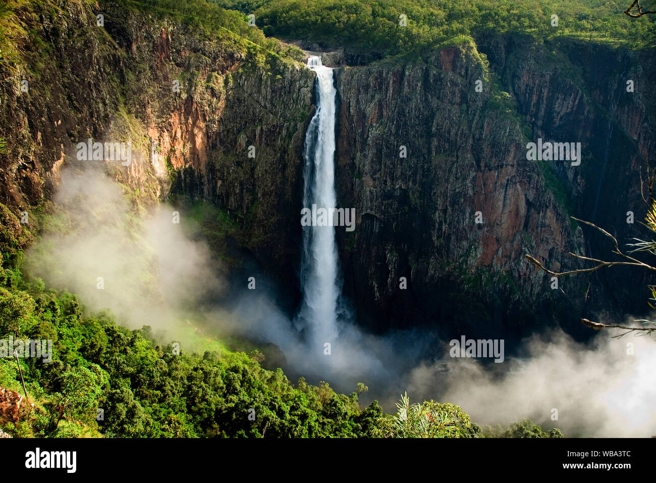 Lumholtz National Park High Resolution Stock Photography and Images - Alamy