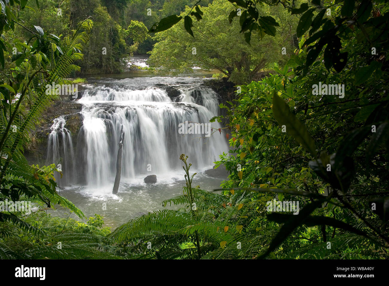 Wooroonooran national park hi-res stock photography and images - Alamy
