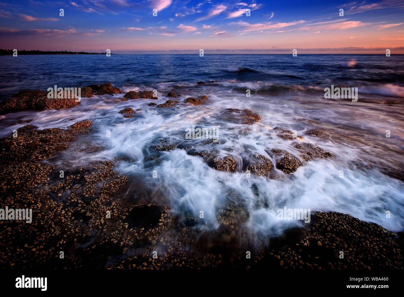 Intertidal platform hi-res stock photography and images - Alamy