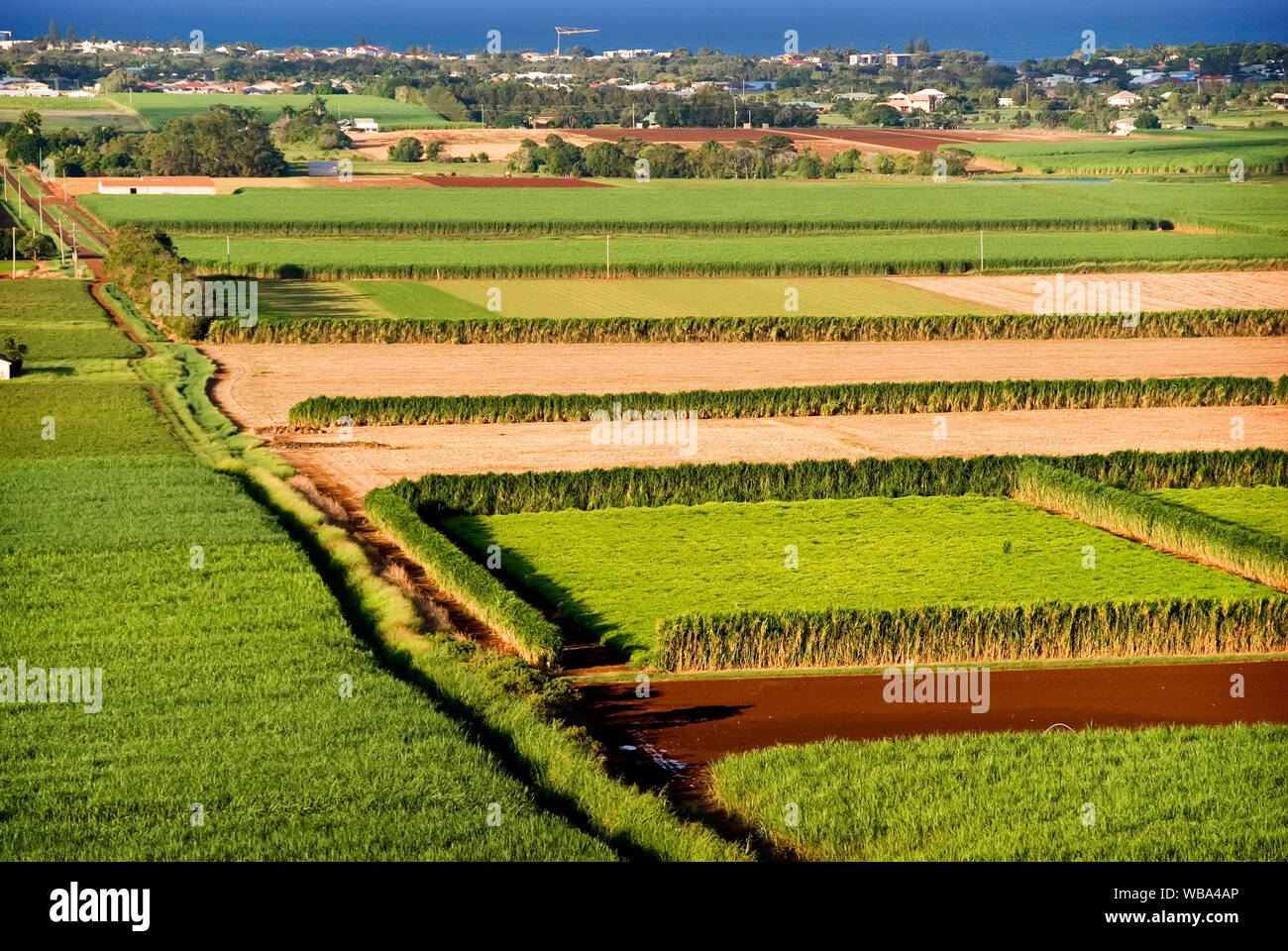 Canefields, near Bundaberg, Queensland, Australia Stock Photo - Alamy