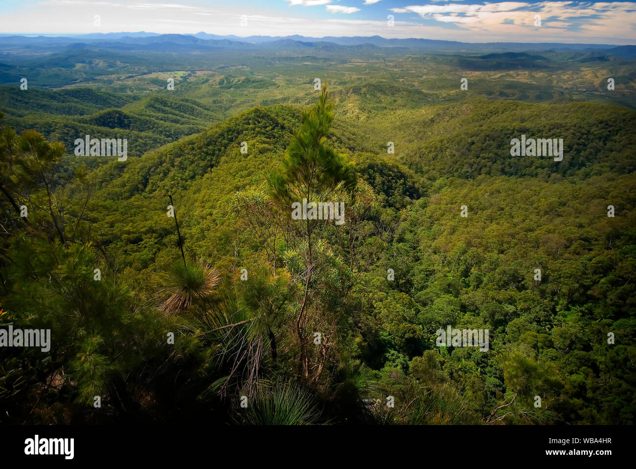 Forested Plateau High Resolution Stock Photography and Images - Alamy