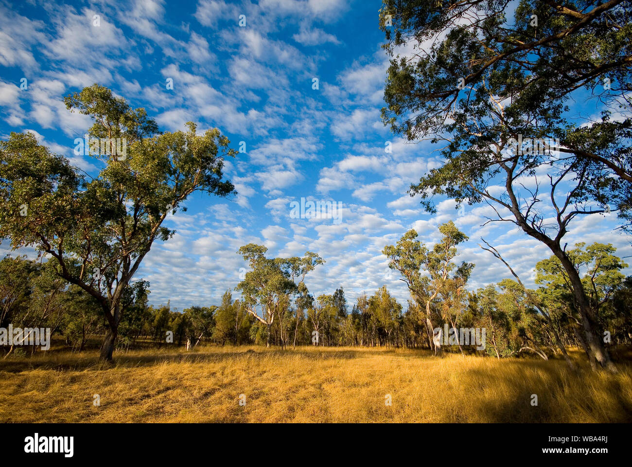 Open valleys hi-res stock photography and images - Alamy