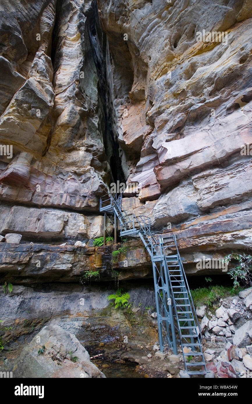 Ladder to the Amphitheatre, hidden in the walls of Carnarvon Gorge; a ...