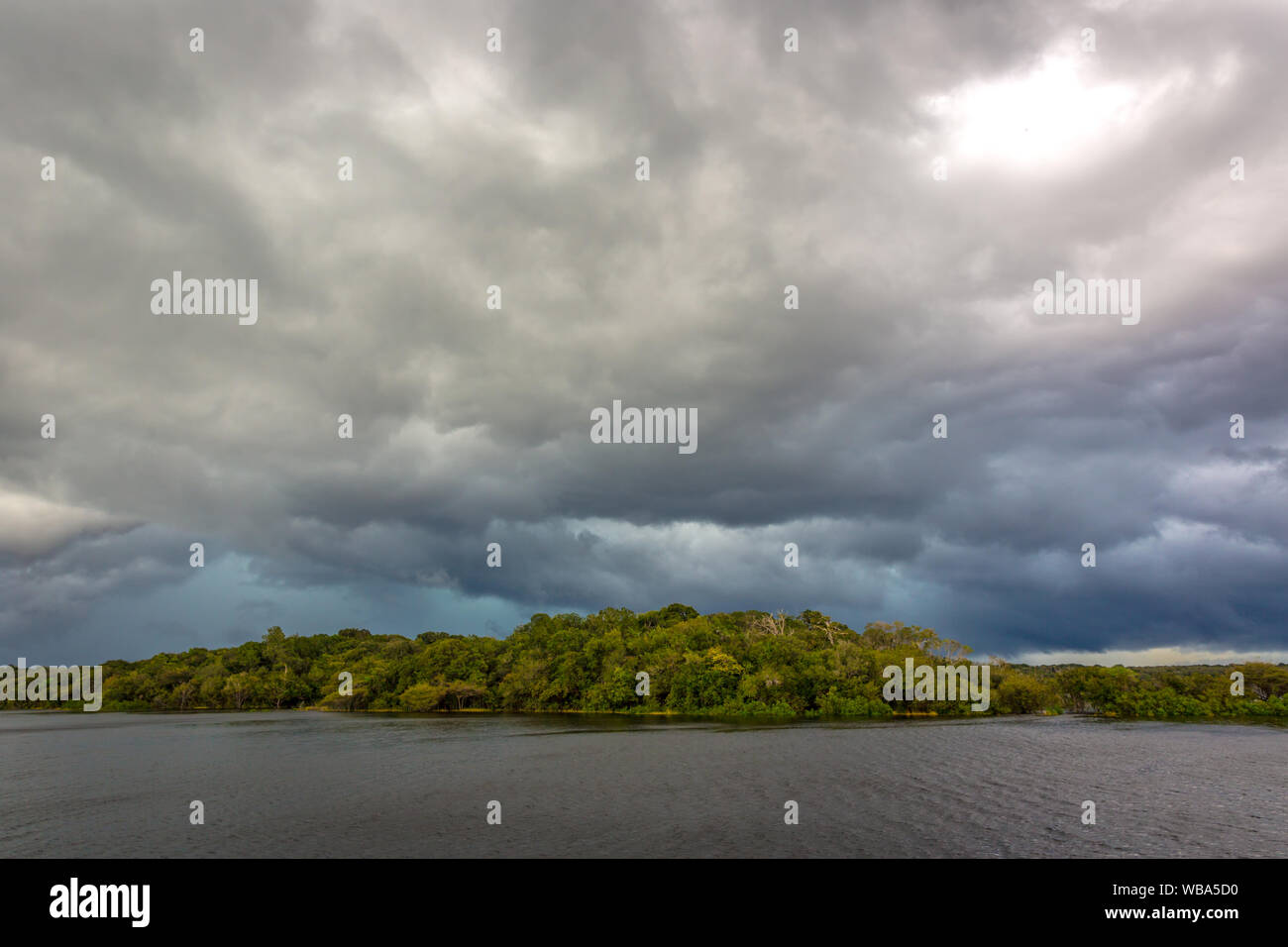 Heavy cloud skies over the Amazonas Forest seen from a boat in northern ...