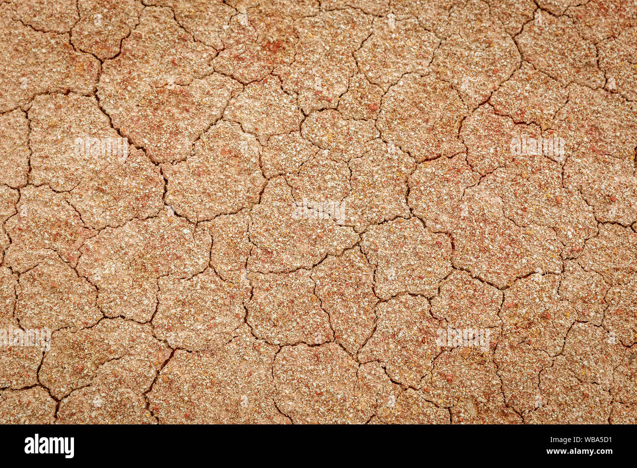 Amazon dries out as worst ever drought hits rainforest Stock Photo - Alamy