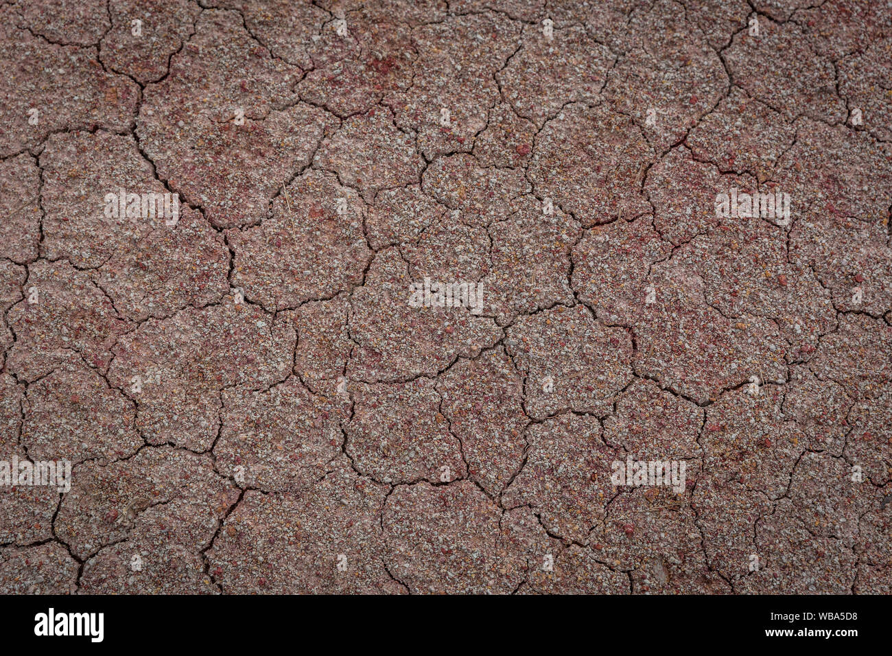 Dry terrain in northern Brazil Stock Photo - Alamy
