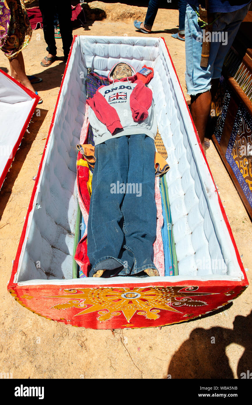 All cultures have their own art, but in Indonesia, in the province of ...