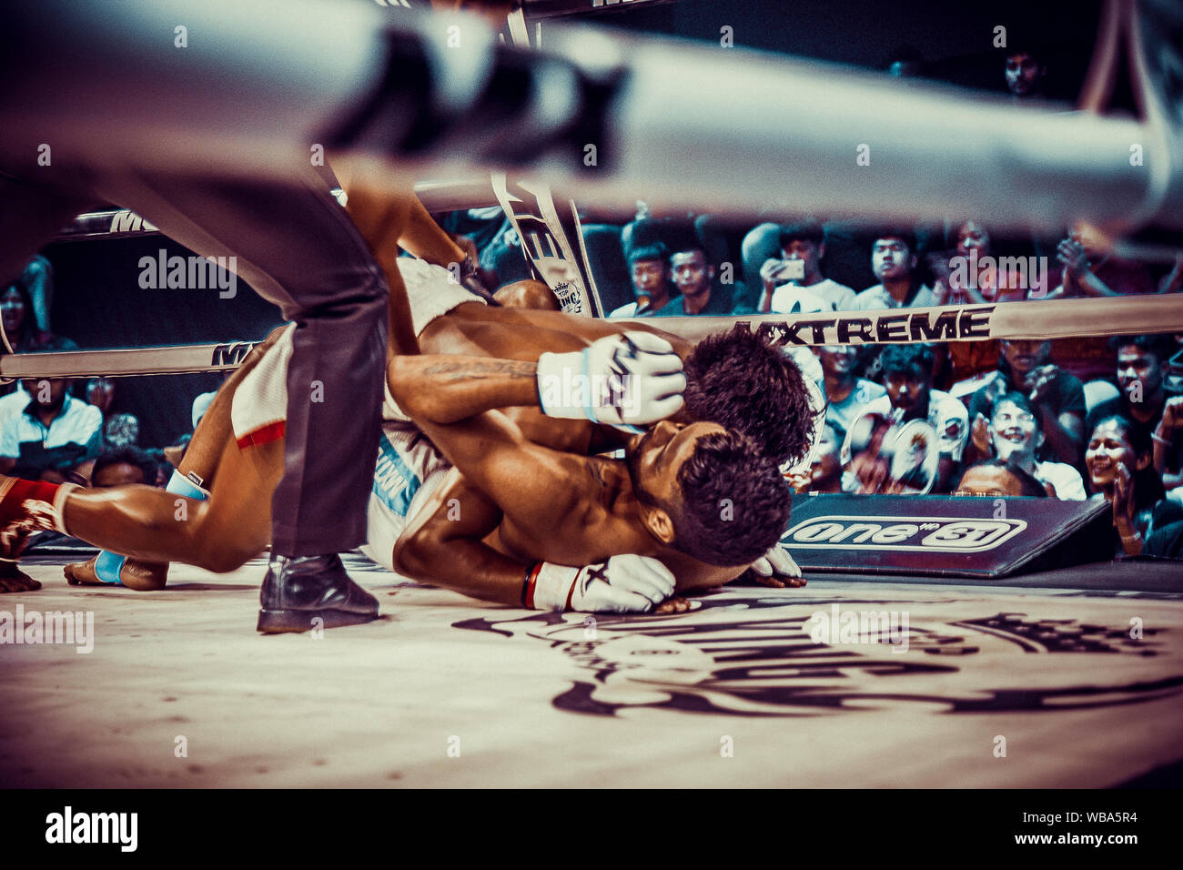 Muay thai fighting in Bangkok in Thailand Stock Photo - Alamy