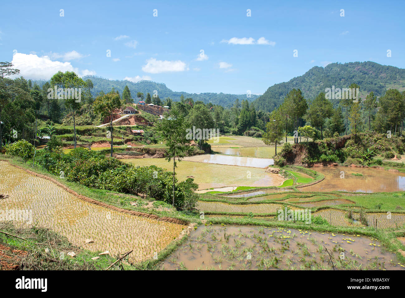 Traditional Alang rice barn, Rantepao, Tana Toraja, South Sulawesi ...