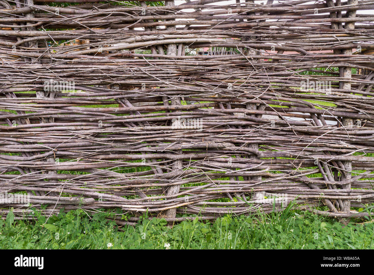 Straight hedge hi-res stock photography and images - Alamy