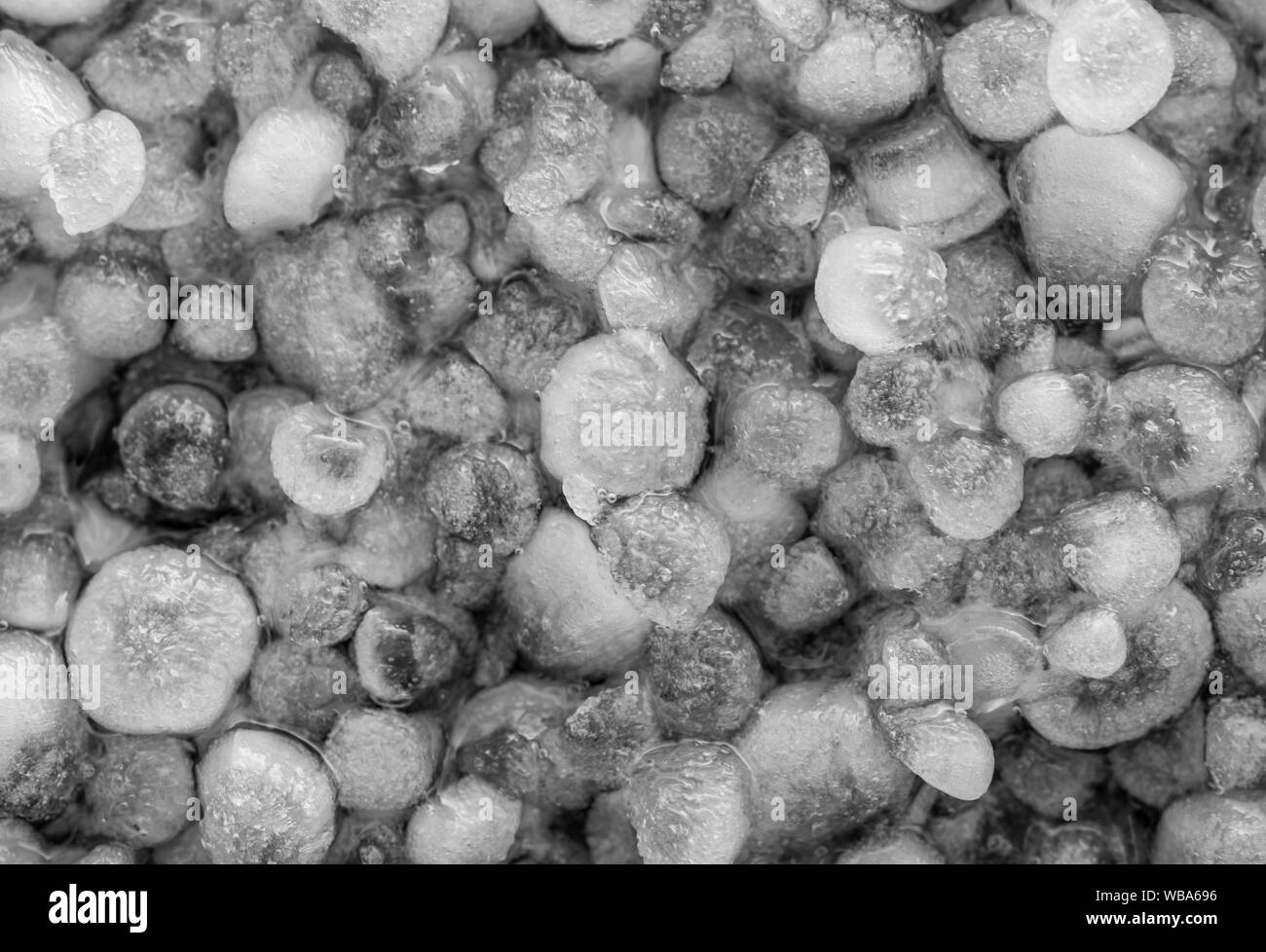 Closeup hail stones hi-res stock photography and images - Alamy