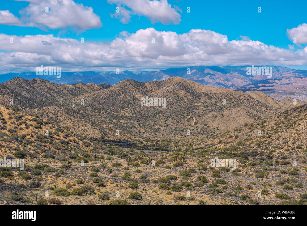 Mojave Desert Landscape Stock Photo - Alamy