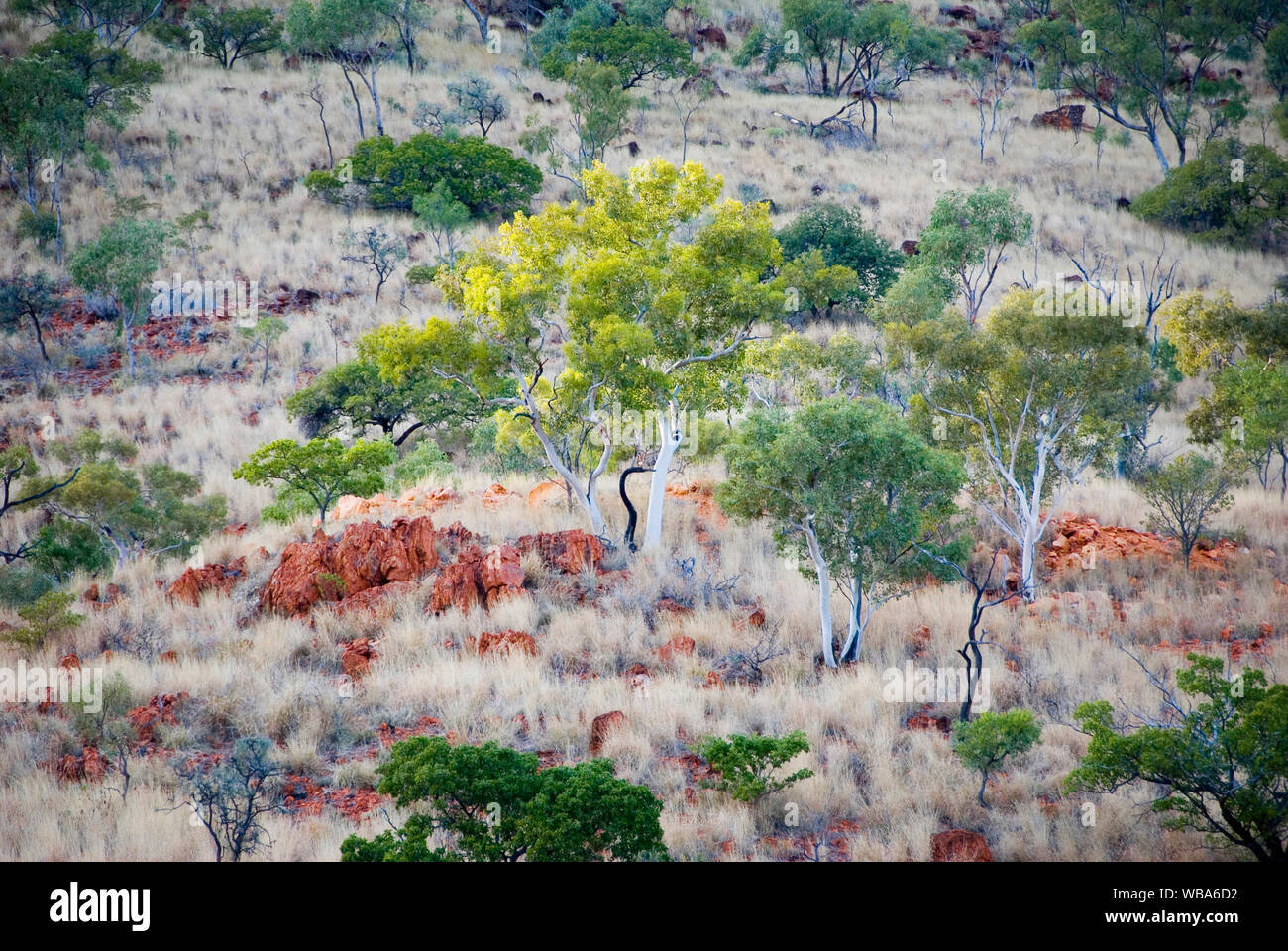 Mount Isa High Resolution Stock Photography and Images - Alamy