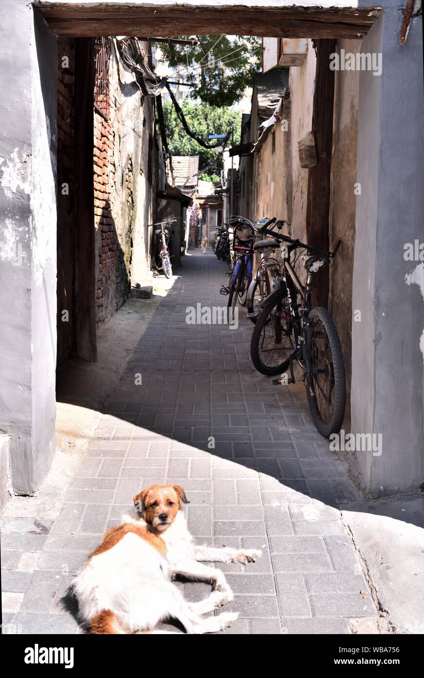 Hutong rooftop beijing china hi-res stock photography and images - Alamy