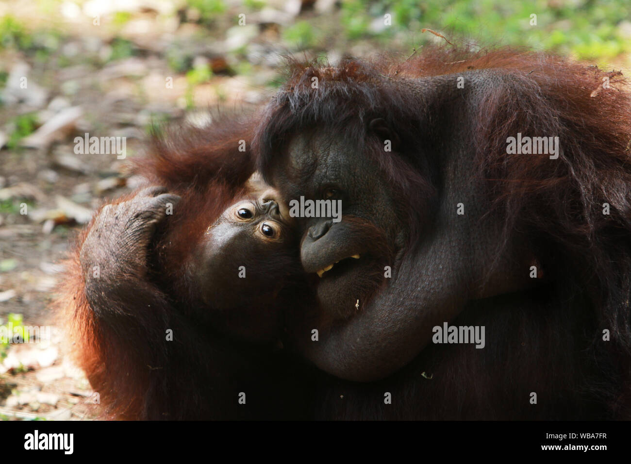 Struggle face hi-res stock photography and images - Alamy