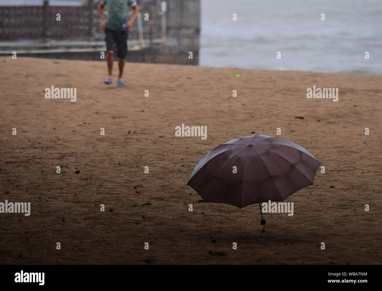 Blown Away By Strong Wind High Resolution Stock Photography and Images ...