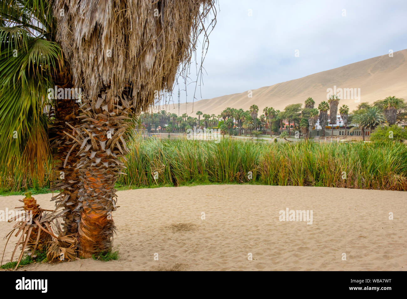 Huacachina desert oasis, Ica, Peru Stock Photo - Alamy