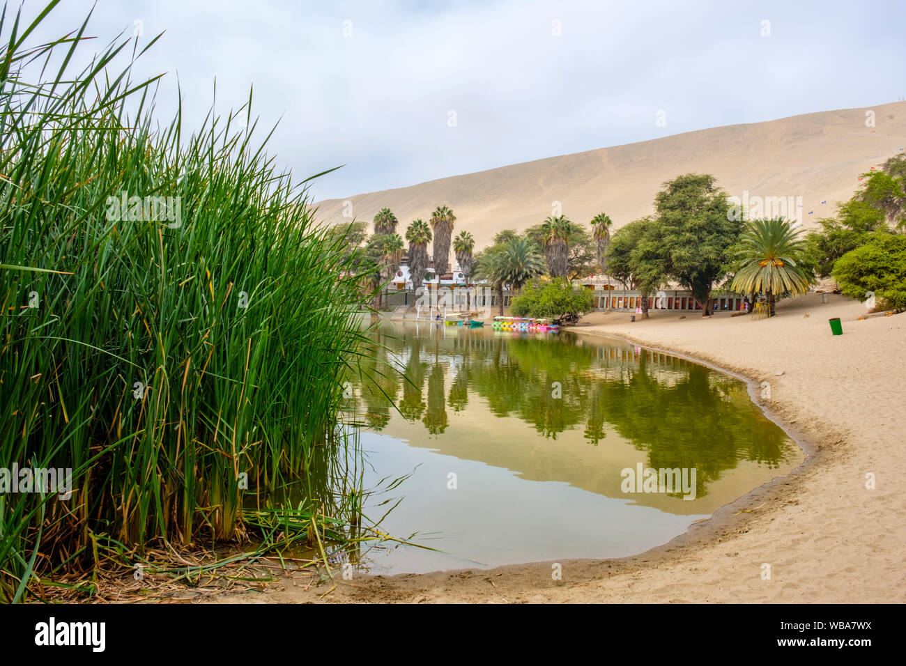 Huacachina desert oasis, Ica, Peru Stock Photo - Alamy
