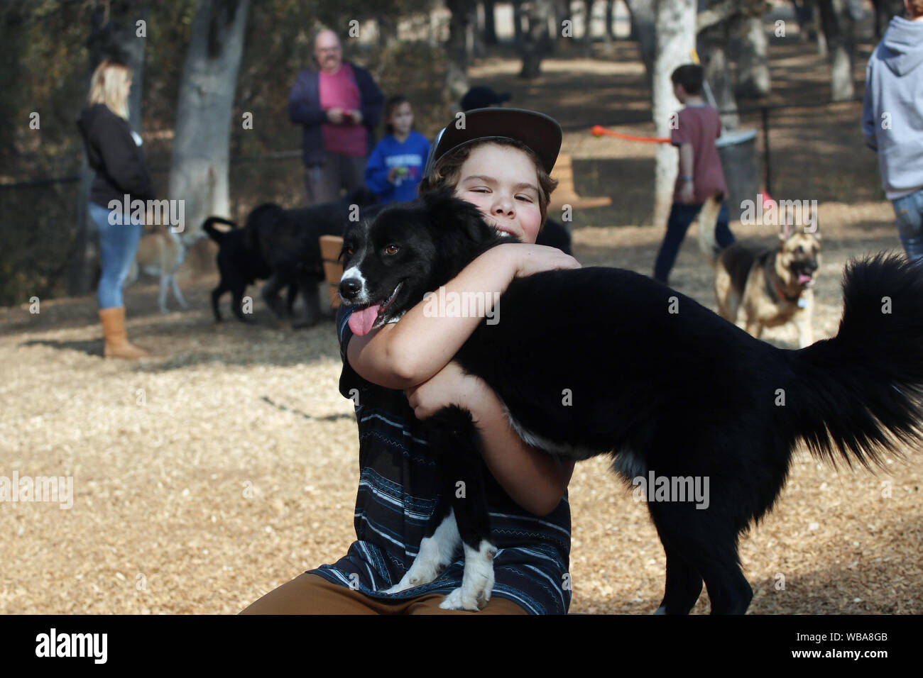 Boy hug dog hi-res stock photography and images - Alamy