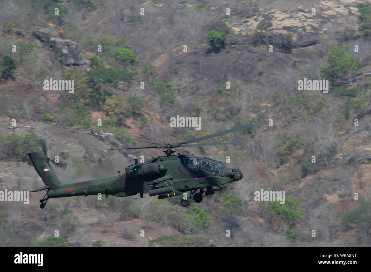 Tentara Nasional Indonesia Angkatan Darat (TNI-AD Indonesia Armed ...