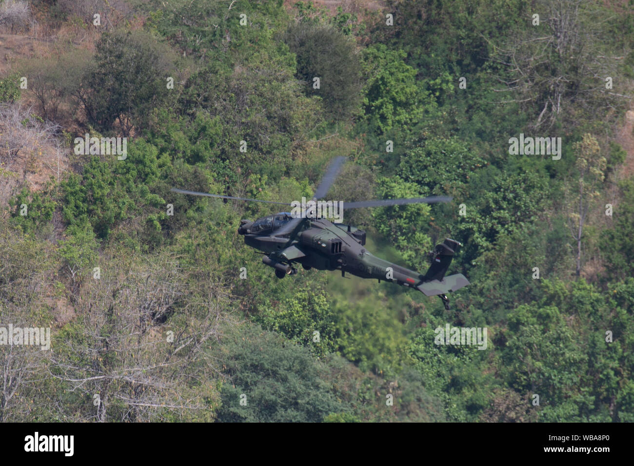 Tentara Nasional Indonesia Angkatan Darat (TNI-AD Indonesia Armed ...