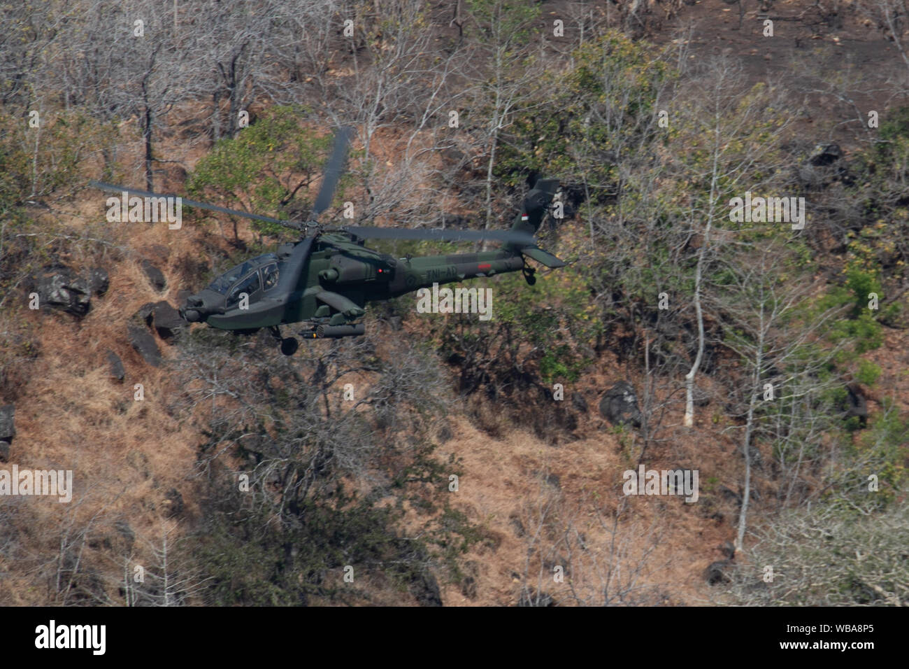 Tentara Nasional Indonesia Angkatan Darat (TNI-AD Indonesia Armed ...