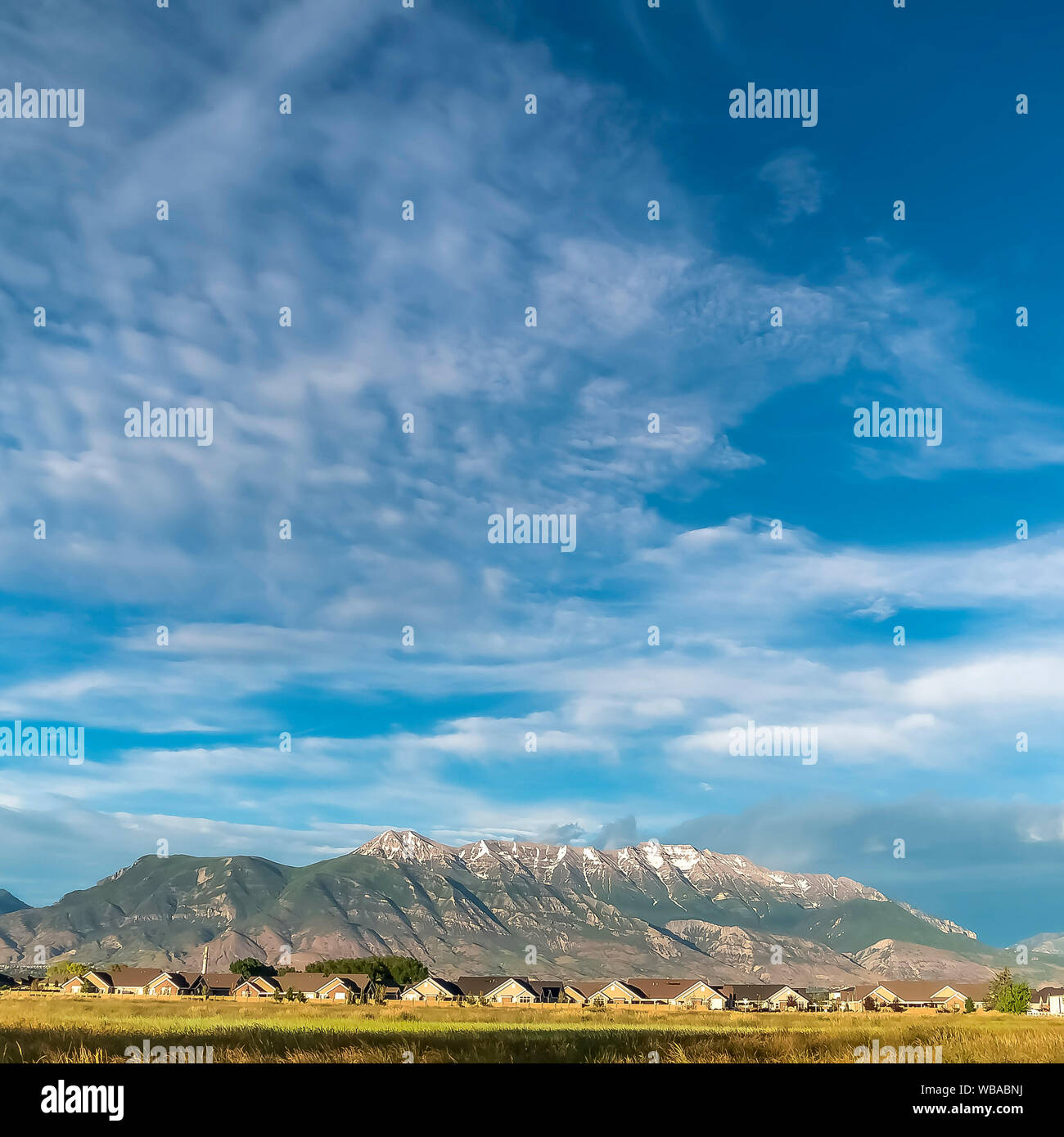 Square frame Scenic nature view with lush grassy field homes and ...