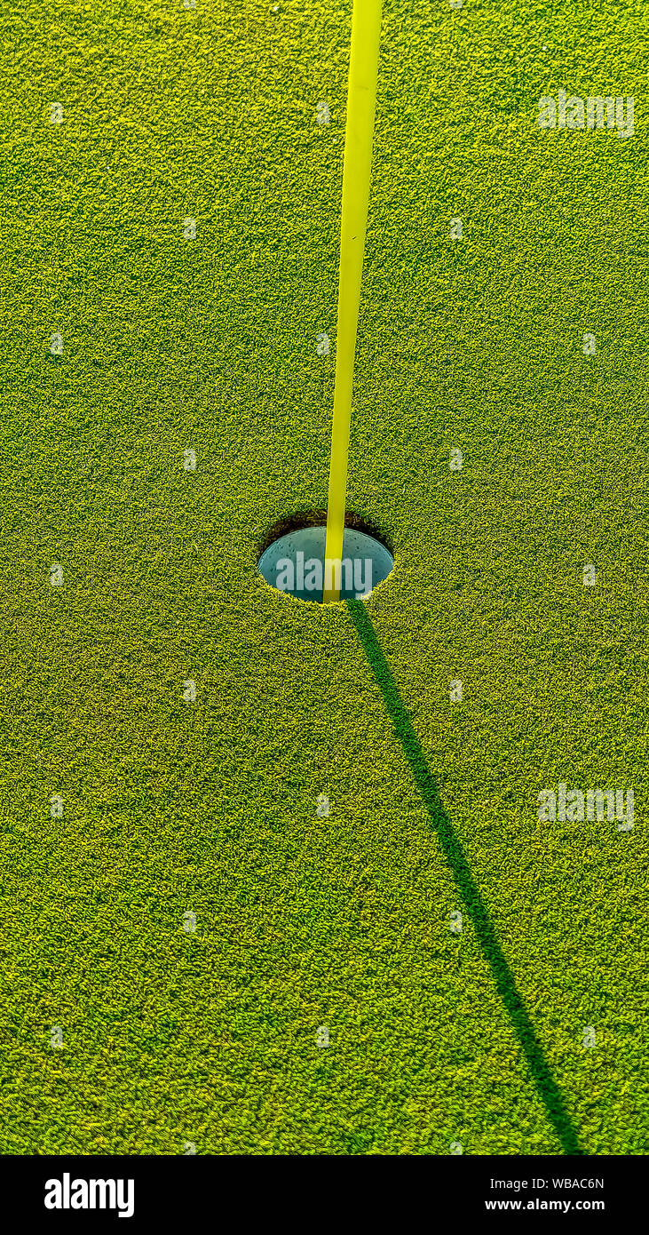 Vertical frame Green of a golf course with close up view of the yellow ...